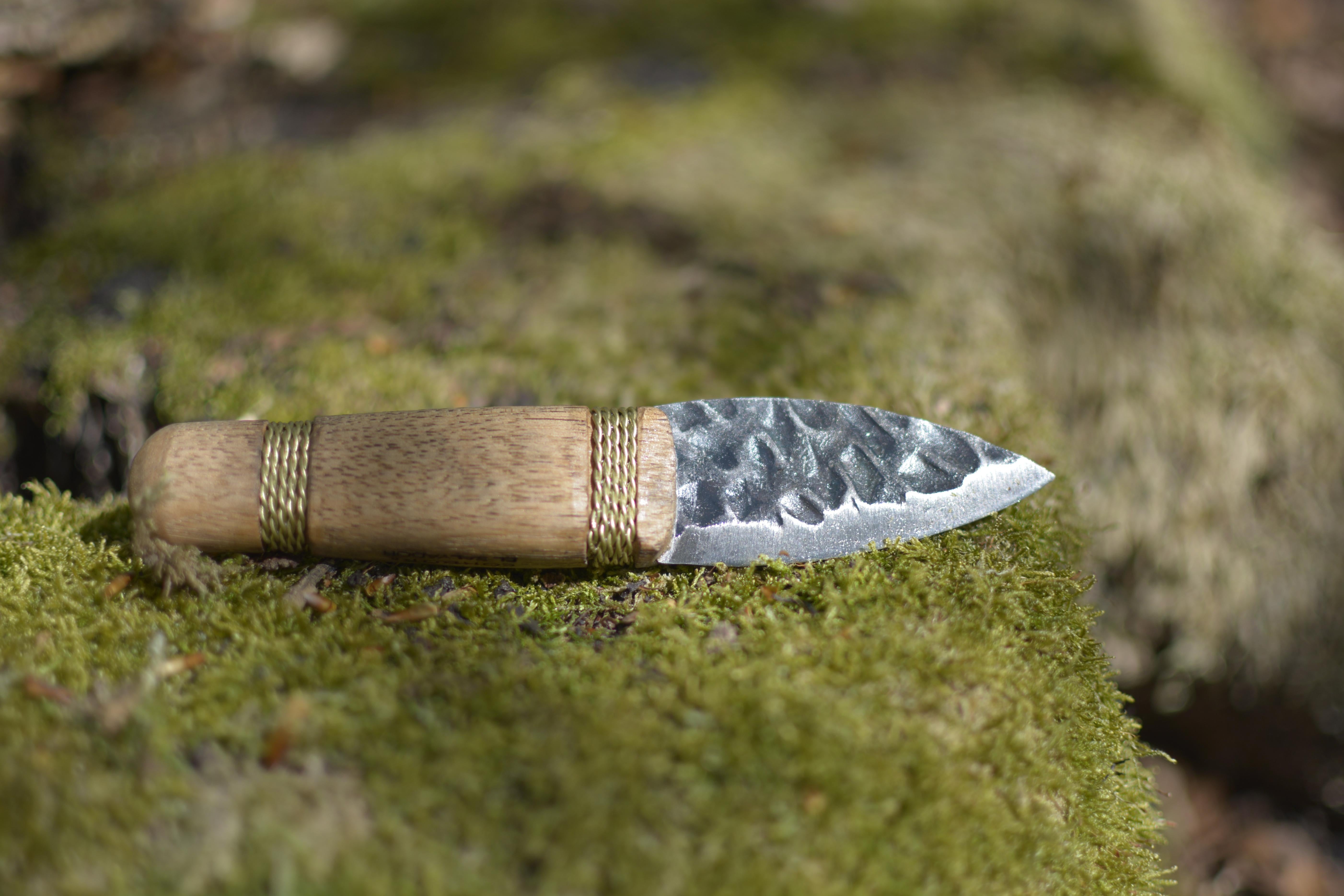 Condor Otzi